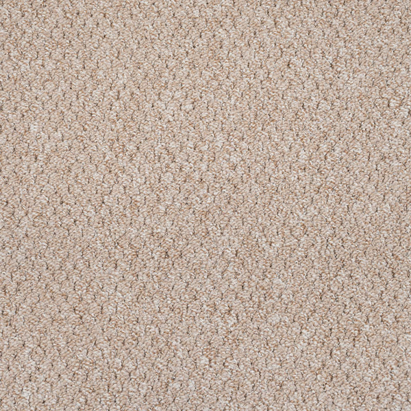 Home Comforts Loop Feltback Carpet | Loop Carpets Online | Wilsons Carpets