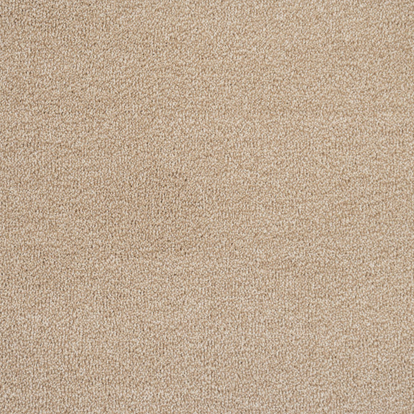 Riviera Twist Carpet | Colourful Twist Carpet Online | Wilsons Carpets