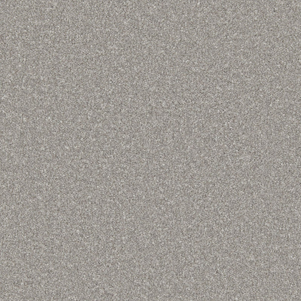 Timeless Carpet | Quality Twist Carpets Online | Wilsons Carpets