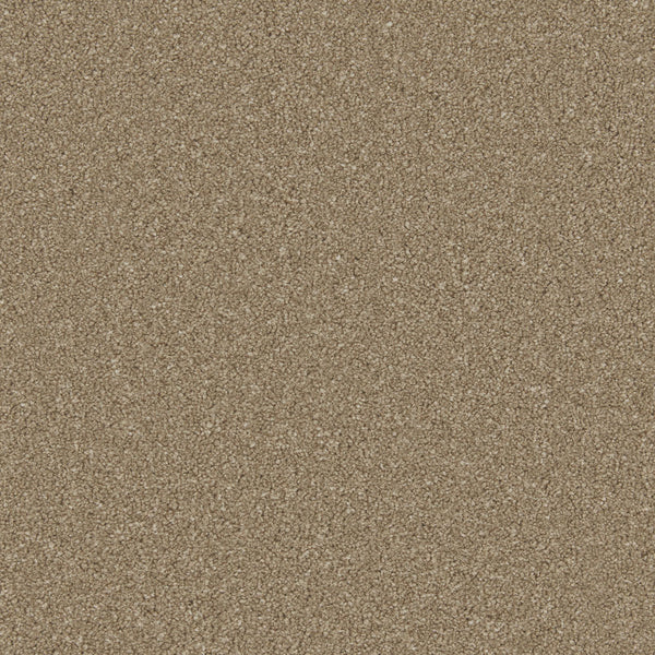 Timeless Carpet | Quality Twist Carpets Online | Wilsons Carpets
