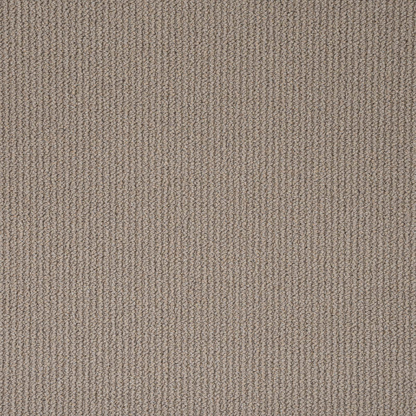 Brighton Textured Loop Carpet | Wilsons Carpets