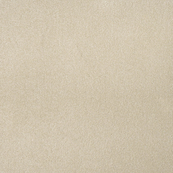 Timeless Carpet | Quality Twist Carpets Online | Wilsons Carpets