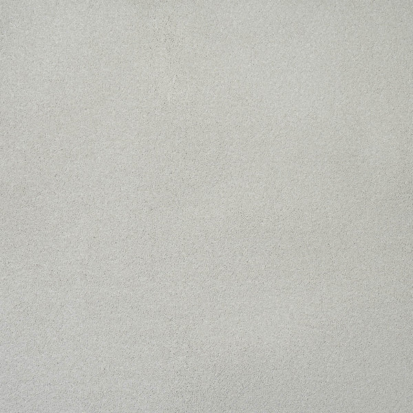 Timeless Carpet | Quality Twist Carpets Online | Wilsons Carpets