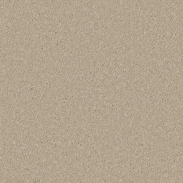 Timeless Carpet | Quality Twist Carpets Online | Wilsons Carpets