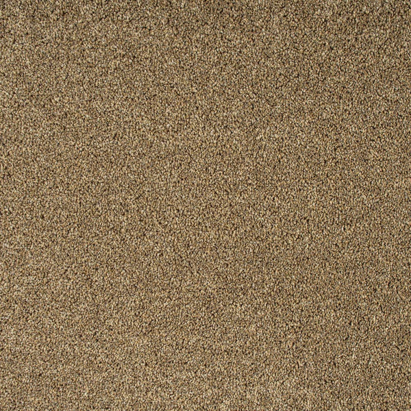 Rural Heathers Elite Carpet | Luxury Twist Carpets | Wilsons Carpets