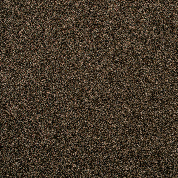 Venice Twist Carpet | Quality Twist Carpet Online | Wilsons Carpets