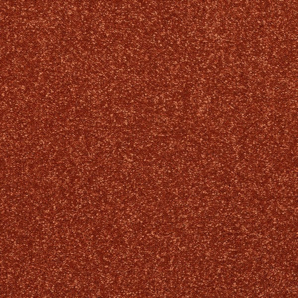 Embrace Carpet | Luxury Saxony Carpets | Wilsons Carpets