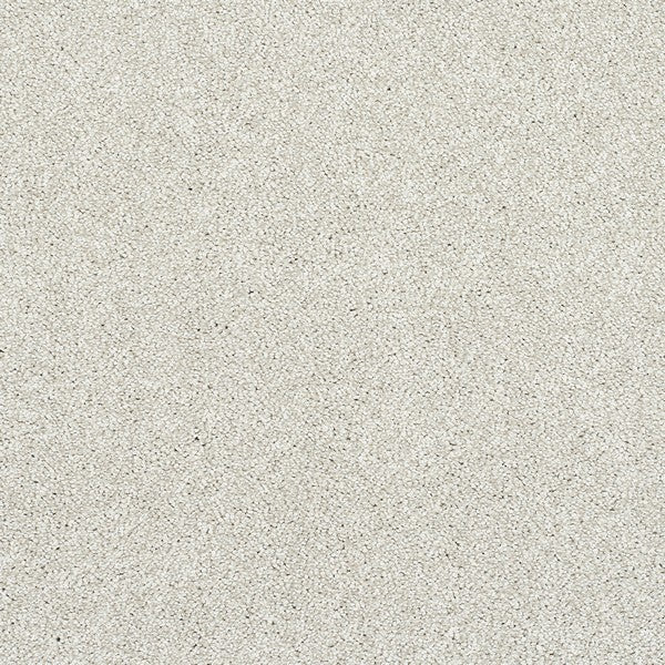 Embrace Carpet | Luxury Saxony Carpets | Wilsons Carpets