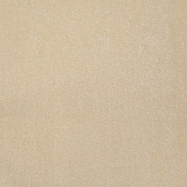 Miami Twist Carpet | Colourful Twist Carpets Online | Wilsons Carpets