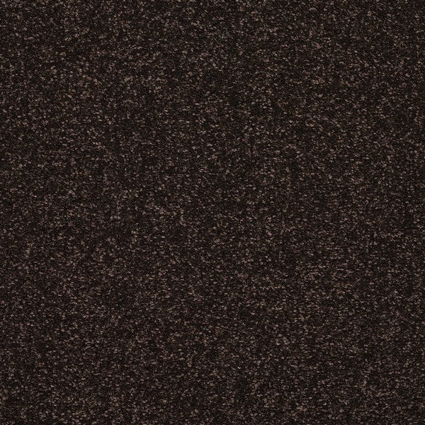 Embrace Carpet | Luxury Saxony Carpets | Wilsons Carpets