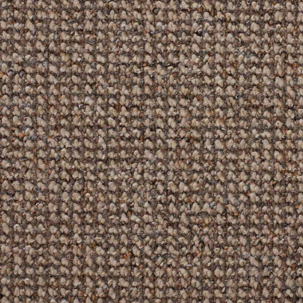 Hampton Loop Feltback Carpet | Loop Carpets Online | Wilsons Carpets