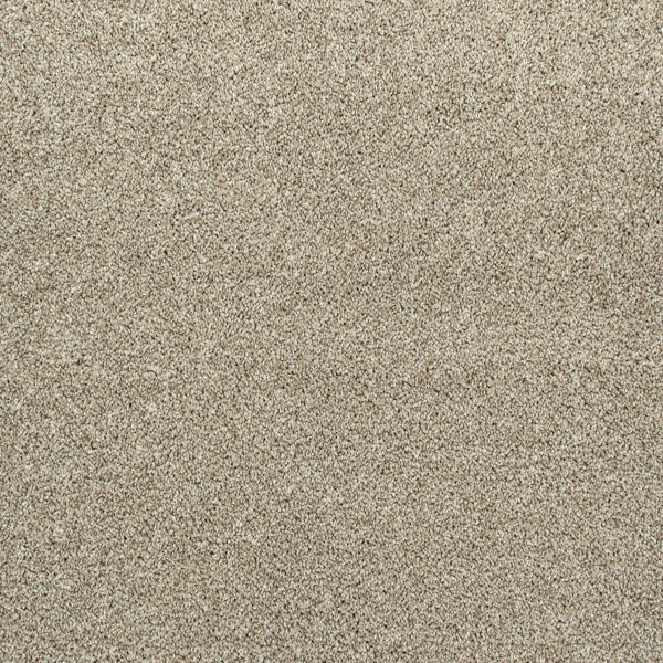 Manor Saxony Carpet | Luxury Polyester Carpet Online | Wilsons Carpets