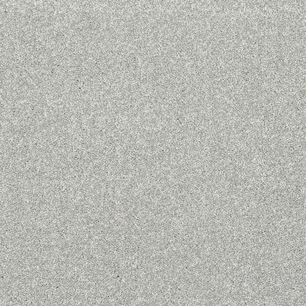 Embrace Carpet | Luxury Saxony Carpets | Wilsons Carpets