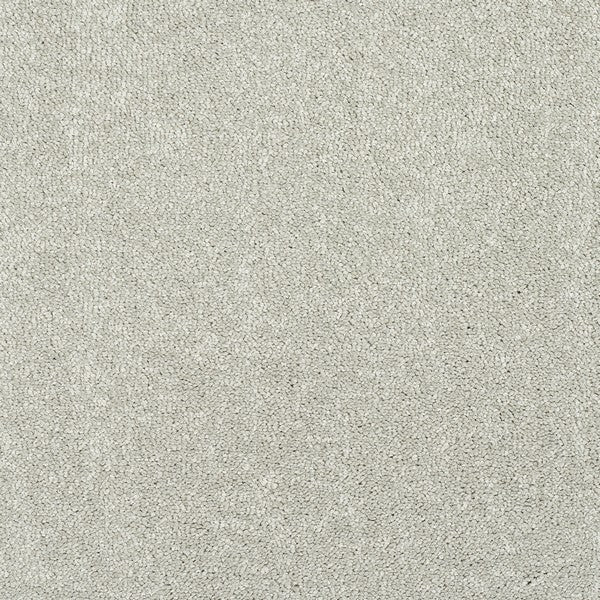 Embrace Carpet | Luxury Saxony Carpets | Wilsons Carpets