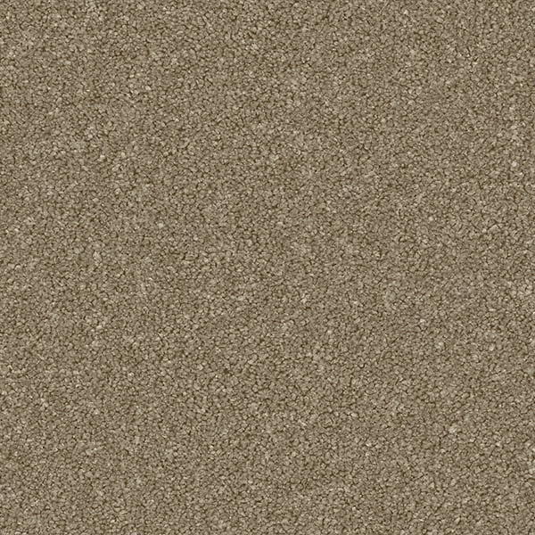 Ashfield Twist Carpet | Luxury Twist Online | Wilsons Carpets